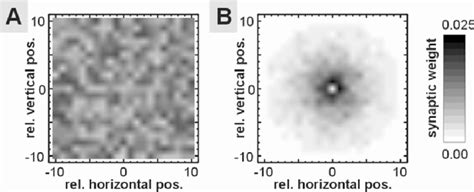 Spatial Coupling Profile Between A Single Level 1 Neuron Center
