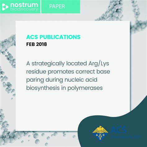 A Strategically Located Arg Lys Residue Promotes Correct Base Paring During Nucleic Acid