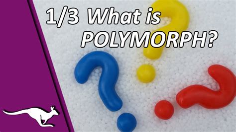 What Is Polymorph Instamorph Polydoh Polymorph 1 3 Youtube