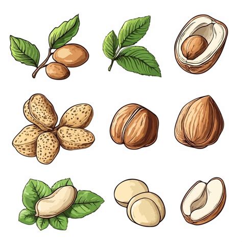 Assorted Nuts Plants Fruits In Shells On Branches Raw Walnut Harvest On Tree Premium Ai