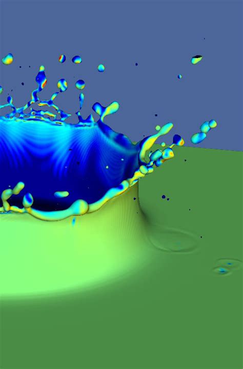 Numerical Simulations Physics Complex Systems