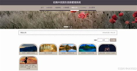 Ssm初高中贫困生信息管理系统36k38 Csdn博客