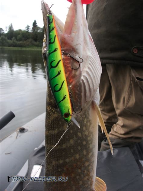 Воблер ZipBaits Orbit 110SP мат тайгер — начал косить! Осень — его время!