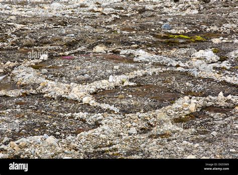 Patterned Ground And Stone Circles Formed Above Permafrost In The High