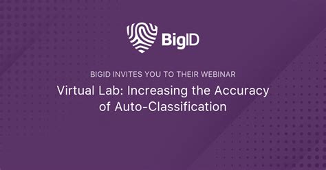 Virtual Lab Increasing The Accuracy Of Auto Classification Bigid