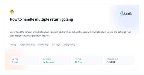 How To Handle Multiple Return Golang Labex