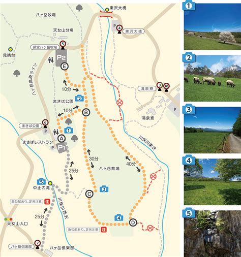 八ヶ岳牧場Bコース NPO法人清里観光振興会