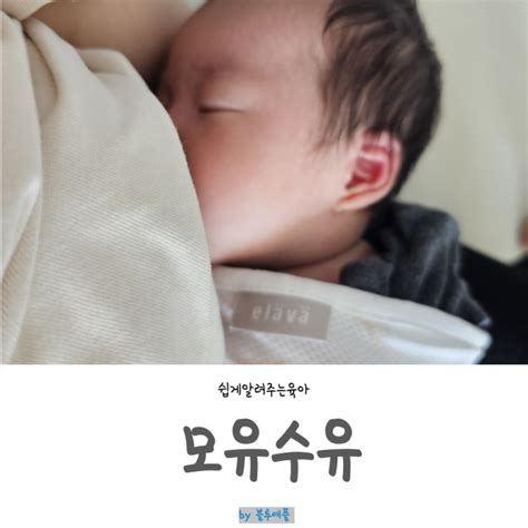 모유수유기간 모유수유 음식 커피 간식 네이버 블로그