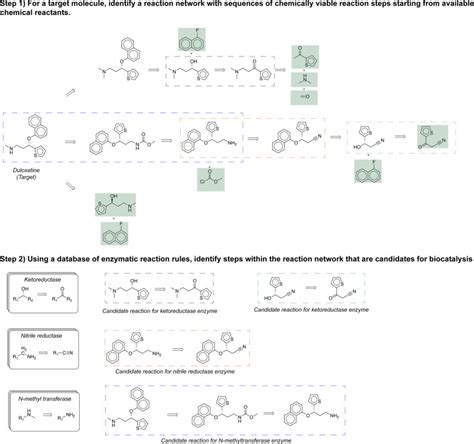 Computer Assisted Multistep Chemoenzymatic Retrosynthesis Using A Chemical Synthesis Planner Pmc
