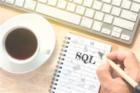10 Best Sql Books For Beginners Must Read In 2023 Artofit