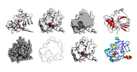 如何用pymol做出那些美呆的结构图（基础篇） 知乎