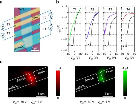 The Origin Of The Ultrahigh Detectivity A Four Mos2 Phototransistors Download Scientific