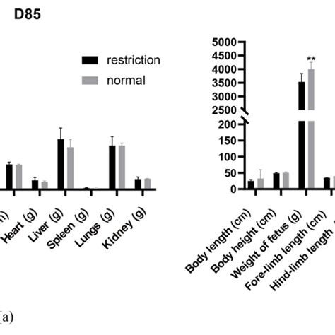 Phenotype Analysis Phenotype Analysis Of The Fetal Sheep At A Gd 85 Download Scientific