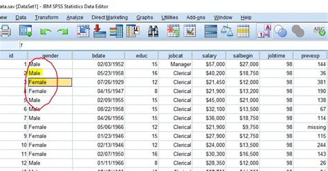 Select Case Feature In Spss Select Case Feature In Spss