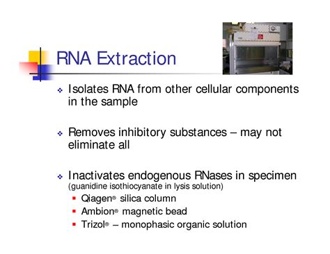 Solution Recommended Procedures For The Extraction Of Rna Studypool