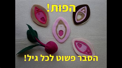 הפות הסבר פשוט לכל גיל Youtube