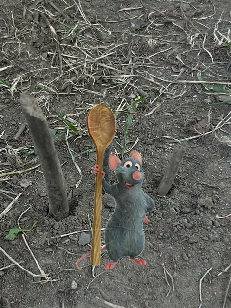 Remi The Mouse Memorial Video I Made Youtube