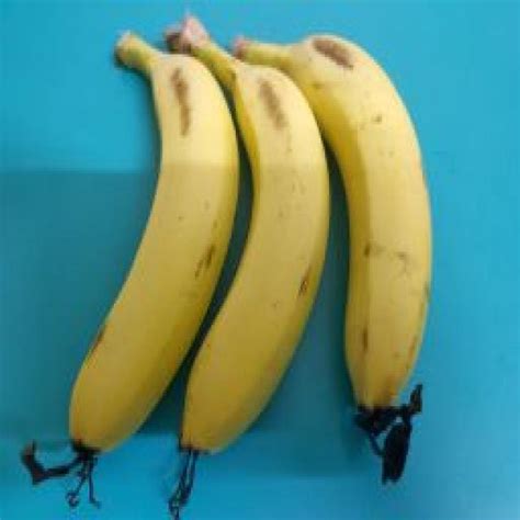 Deteksi Buah Pisang Object Detection Dataset And Pre Trained Model By Project Kompres