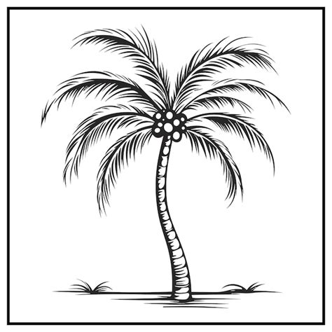 A Clipart Image Of A Palm Tree With White Leaves And A Green Background 5803658