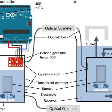 Schematic Representation Of Immersion Respirometric Setups A