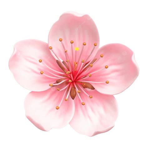 Pink Cherry Blossoms Icon Clipart Design Cherry Blossoms Pink Flowers