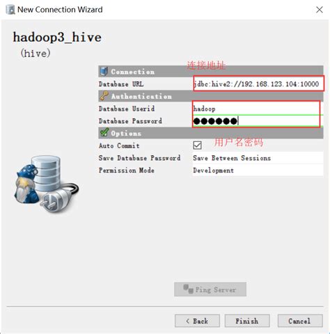 dbvisualizer配置连接hive dbvisualizer 连接hive csdn博客