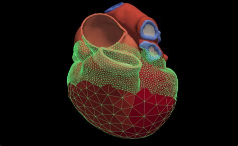 The Cardiac Digital Twin Tric Dt The Alan Turing Institute