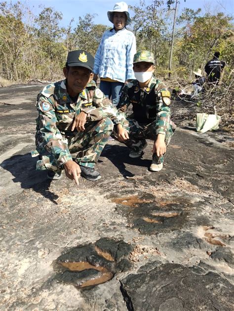 กรมทรัพยากรธรณี แจ้งข่าวดี พบรอยเท้าไดโนเสาร์กินเนื้อ อายุประมาณ 140 ล้านปี