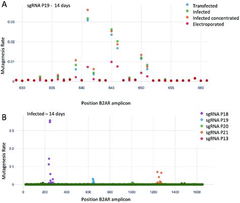 Defining The Optimal Mutagenesis Conditions Continuation A