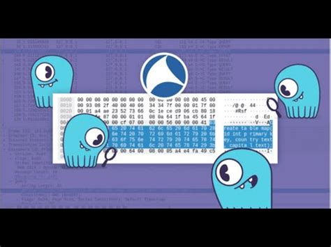 IP Wireshark Lab YouTube