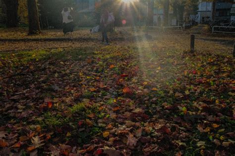 가을 삿포로 여행 음식 여행 에펨코리아