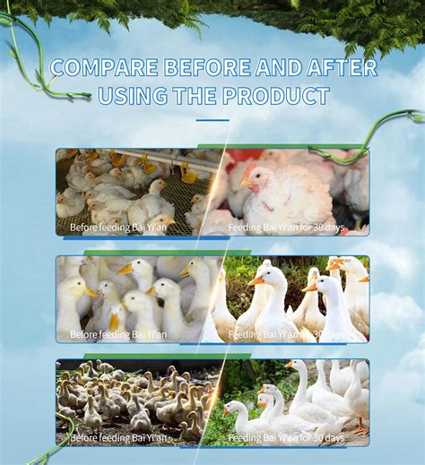 Poultry Fowl Broiler Weight Gain Vitamin Mineral Feed Additives For Chickens Buy Broiler