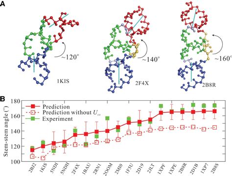 Structure Folding Of RNA Kissing Complexes In Salt Solutions Predicting D Structure Stability