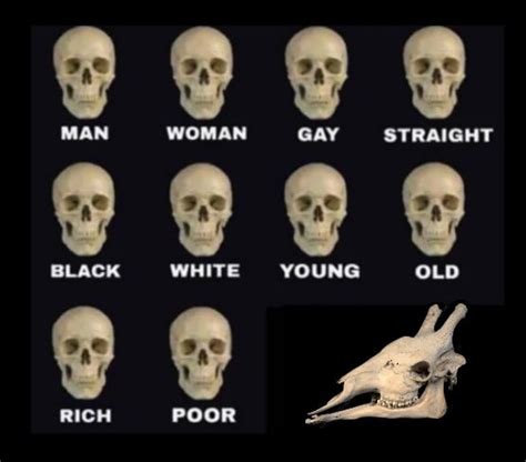 Why Is There Just An Empty Space Where The Joke Part Of This Old Meme Should Be R