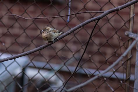 Photography Week 113 Bionic Teaching