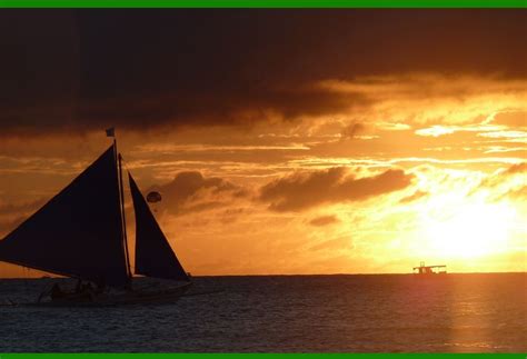 Qr Code Barcode Current Situation And Future Development