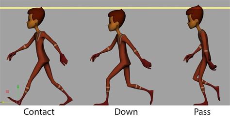 Animation Study Walk Cycle Animation Animation Walk Cycle Animation Reference