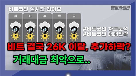 비트코인 실시간 비트 결국 26k 밑으로추가하락 나오나 거래대금 최악 8월 28일 저녁💎 비트코인 비트코인실시간 이더리움 리플 도지코인 차트분석