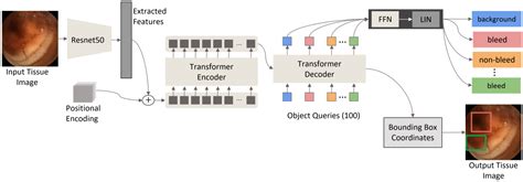 논문 리뷰 Transformer Based Wireless Capsule Endoscopy Bleeding Tissue Detection And Classification