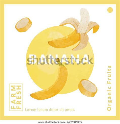 바나나 과일 포장 디자인 템플릿 수채화 스톡 벡터로열티 프리 2402006385 Shutterstock