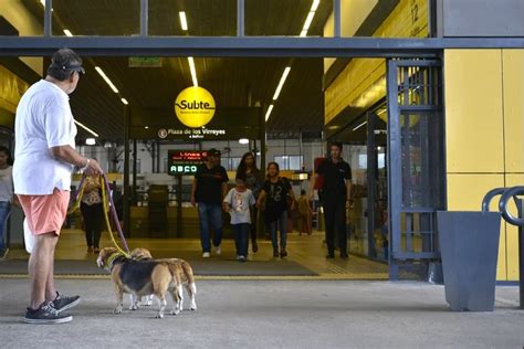Las Mejores Fotos Del Primer Día De Las Mascotas En Los Subtes Infobae