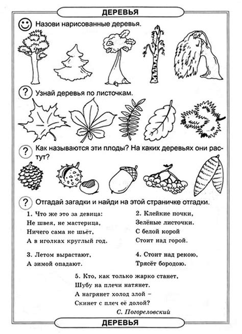 Задания по теме деревья для дошкольников в картинках