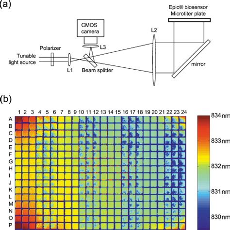 Resonant Waveguide Grating Imager For Live Cell Sensing Applied Physics Letters Aip Publishing