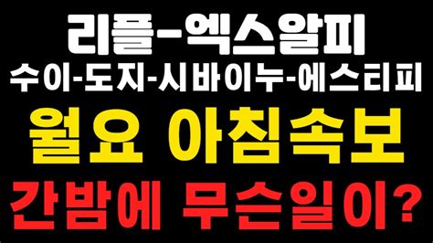 엑스알피 리플코인 월요 아침속보 간밤에 무슨일이 수이코인 도지코인 시바이누코인 에스티피코인 코인왕국tv 불독코인 급등종목 급등코인 Youtube