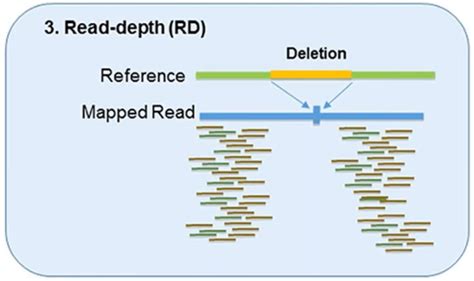 Next Generation Sequencing Cnv Detection And Analysis A Quick Guide Bionanogenomics