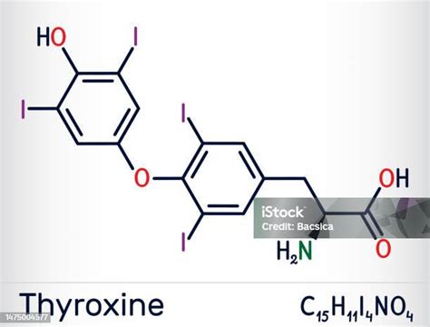 티록신 T4 레보 티록신 분자 갑상선 호르몬 갑상선 기능 저하증 치료에 사용되는 티로닌 T3의 프로 호르몬입니다 골격 화학식 갑상샘기능 저하증에 대한 스톡 벡터 아트 및