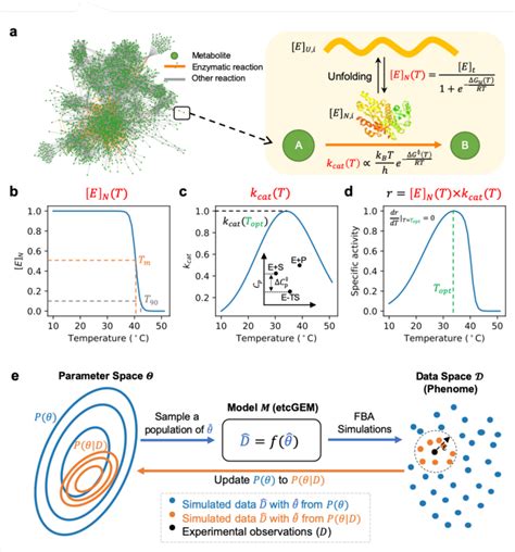 Using Bayesian Statistical Learning To Integrate Temperature Dependence Download Scientific
