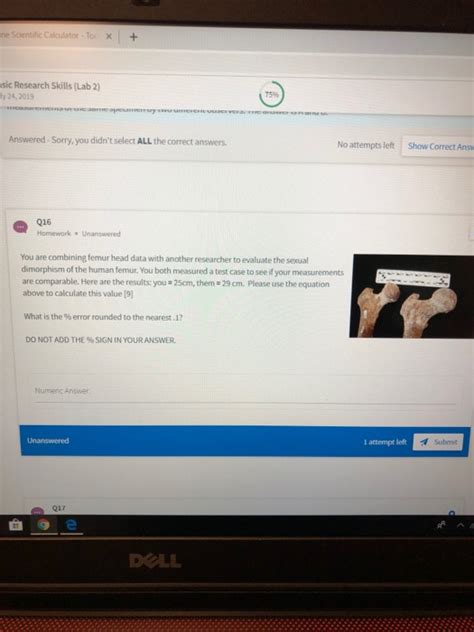 Solved Online Scientific Calculator Too X Ce Basic Chegg Com