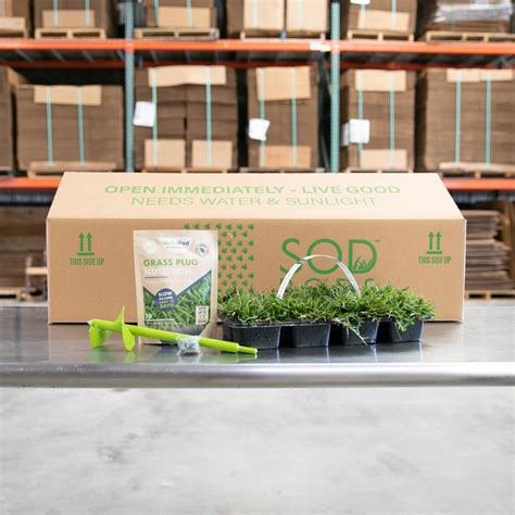 Centipede Grass Plugs And Tools Pack Sodpods®