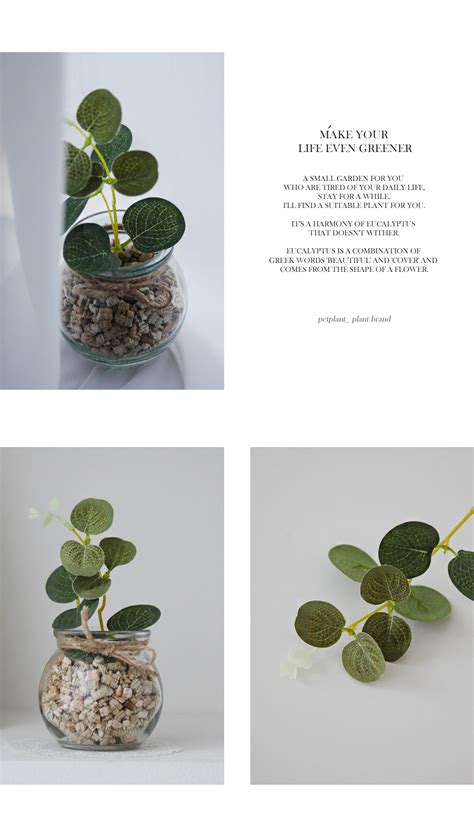 샤쉐스톤 컷팅유칼립 유리항아리세트 감도 깊은 취향 셀렉트샵 29cm